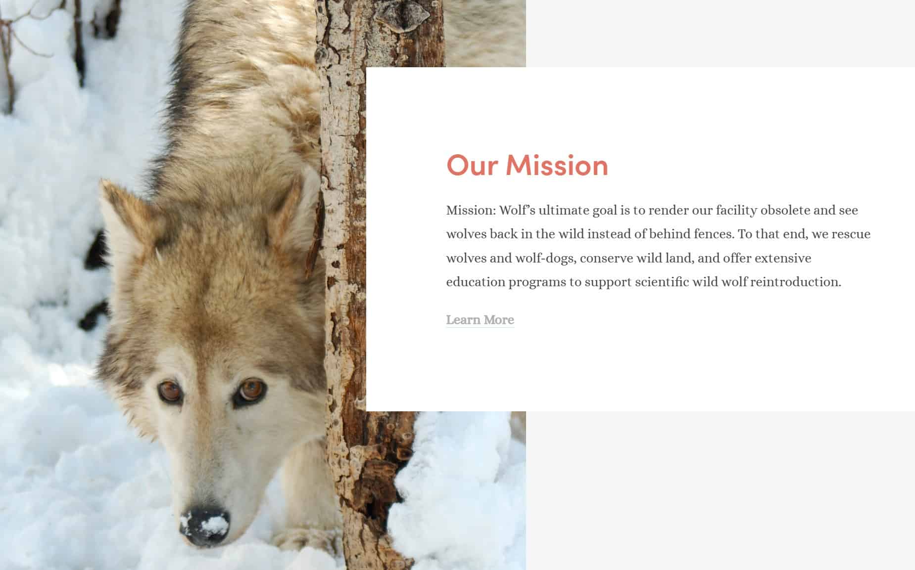 My Visit to Mission Wolf – Elegant Fused Glass by Karen